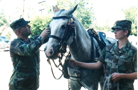 The Long Riders' Guild - Horse Management page 2